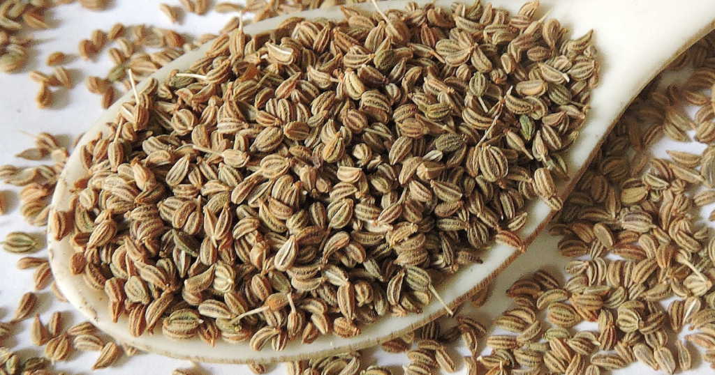 Ajowan and its Wonderful Benefits - Herbal Rejoice